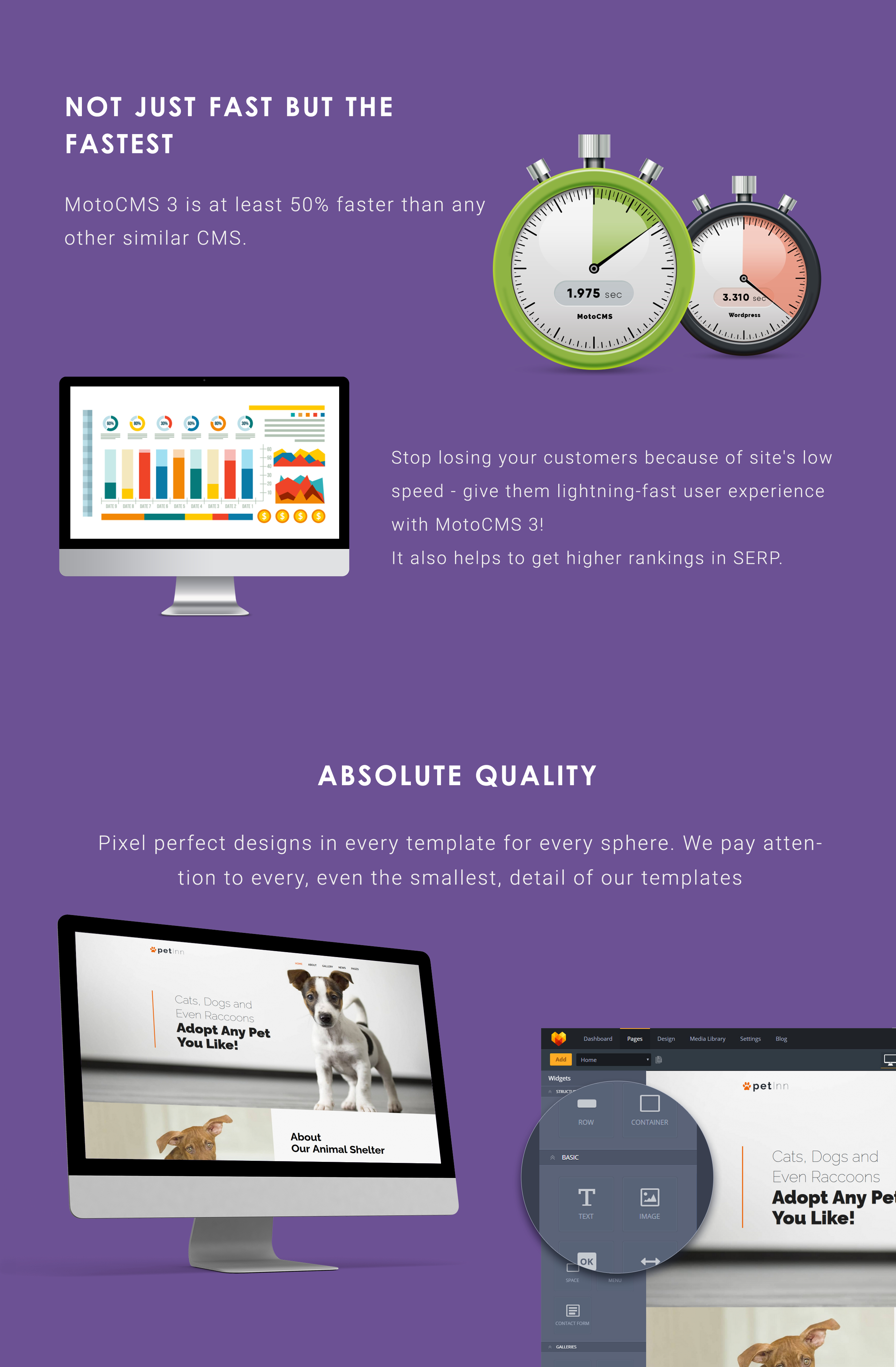 Pet Adoption Website Template for Pet Shelter - MotoCMS