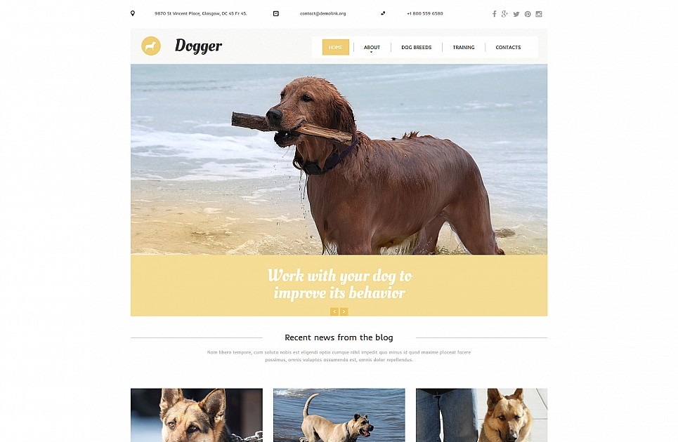 Dog Training Website Template For Dog Obedience School MotoCMS