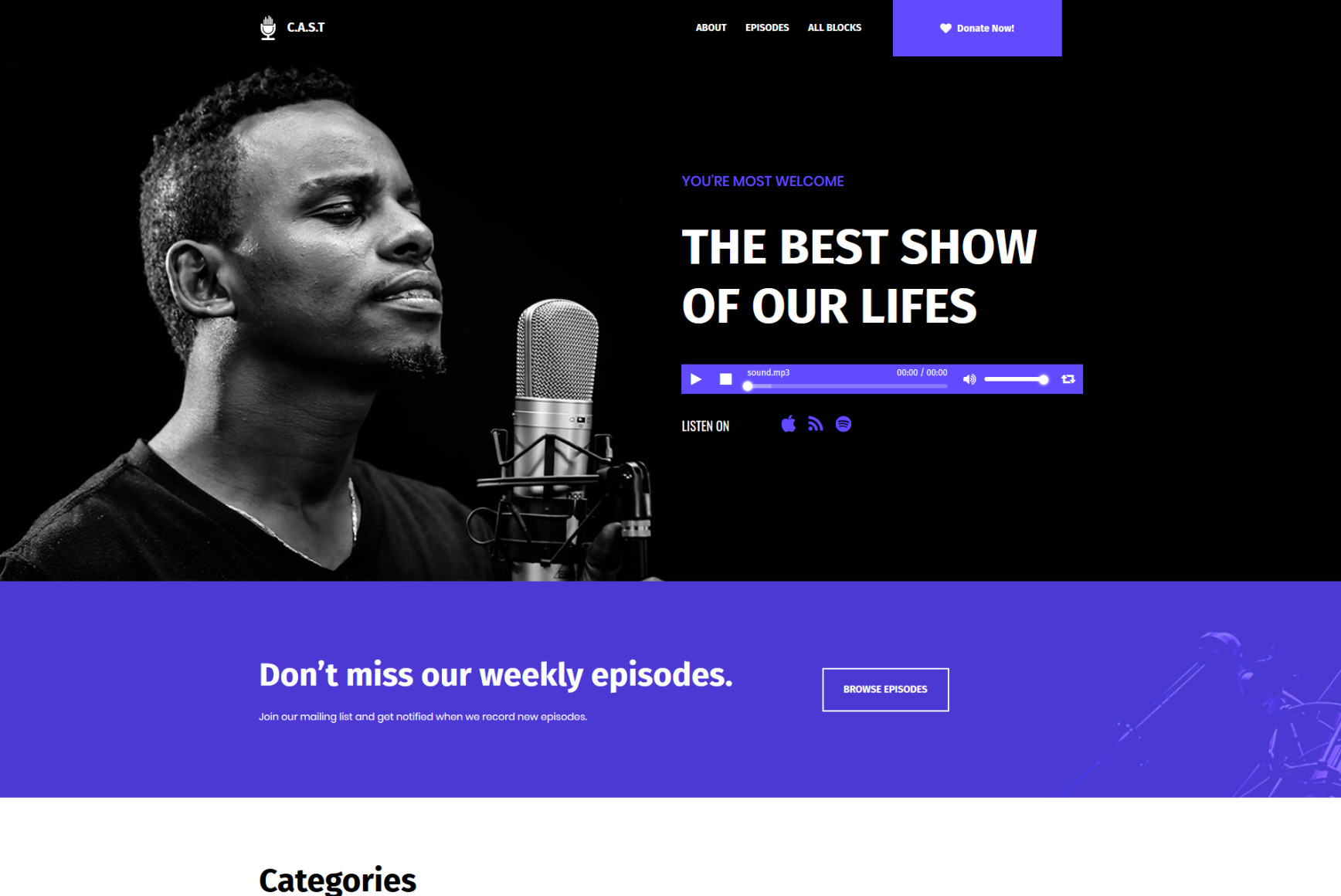 Podcast Landing Page Template - MotoCMS