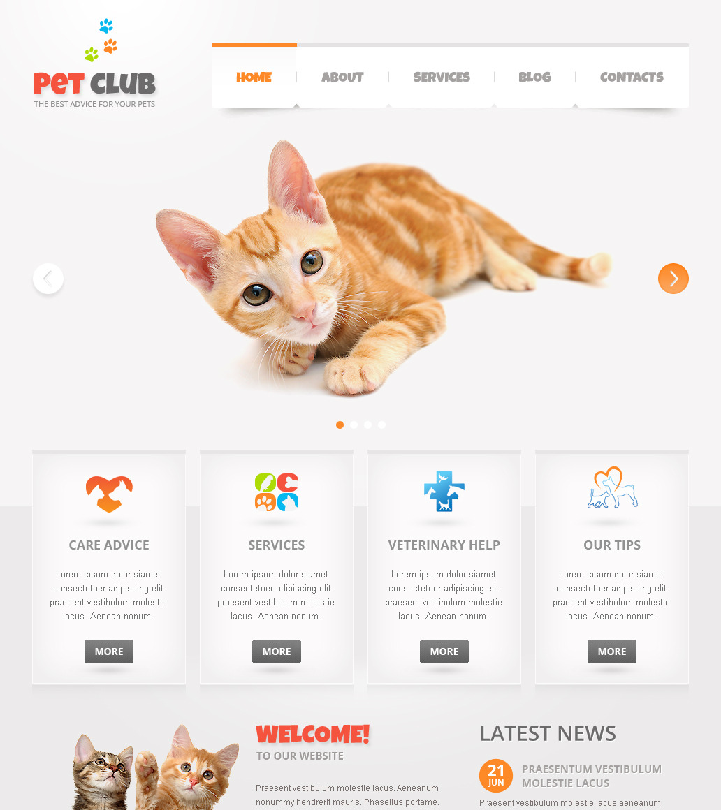 Pets Website Template with jQuery Slider - MotoCMS