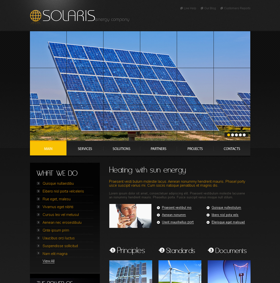 Solar Energy Website Template for Small Business - MotoCMS