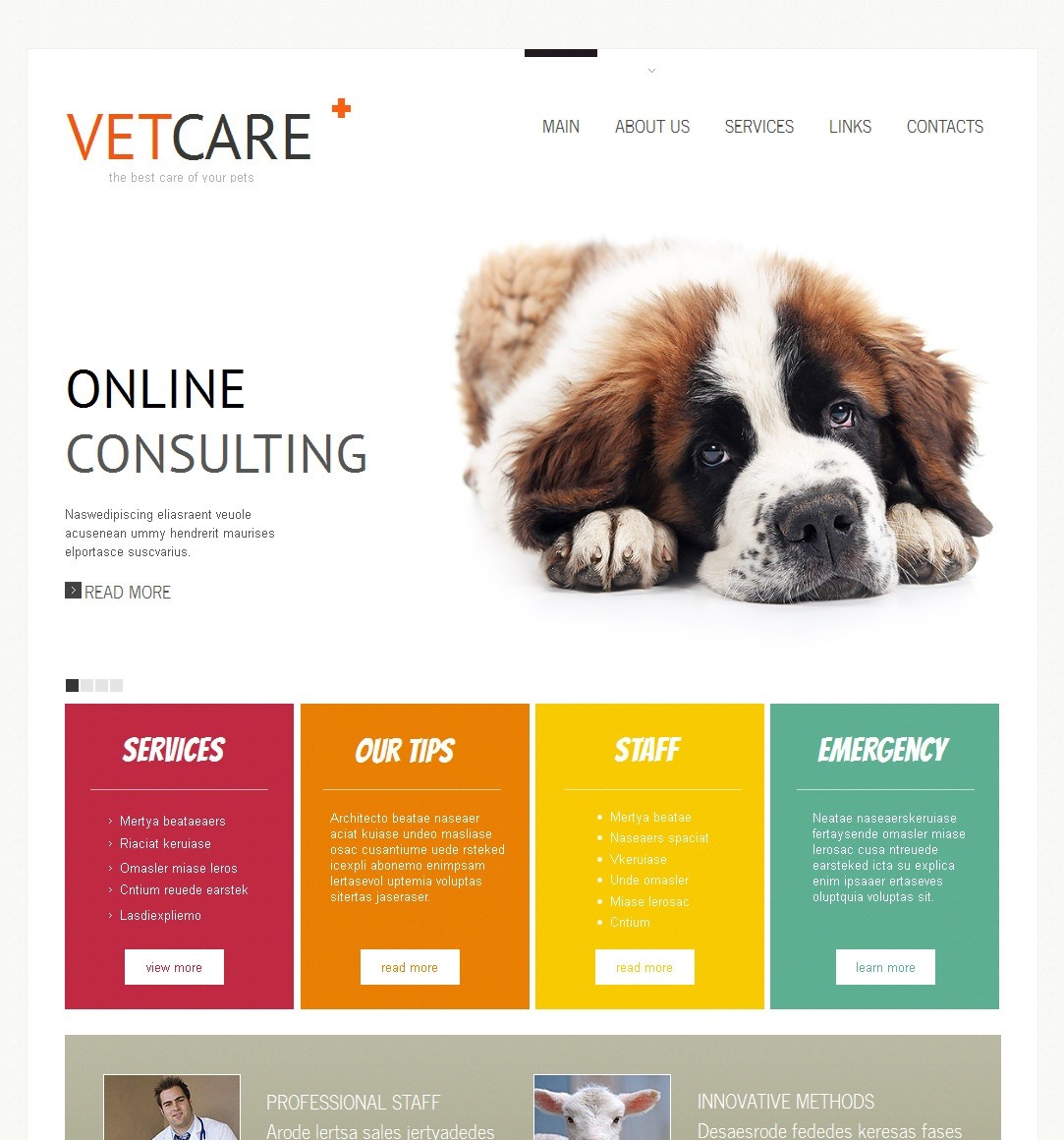 Veterinary Website Template Designed in Modern Style - MotoCMS