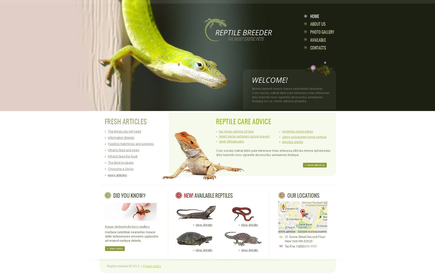 Reptile Website Template with a Photographic Header - MotoCMS