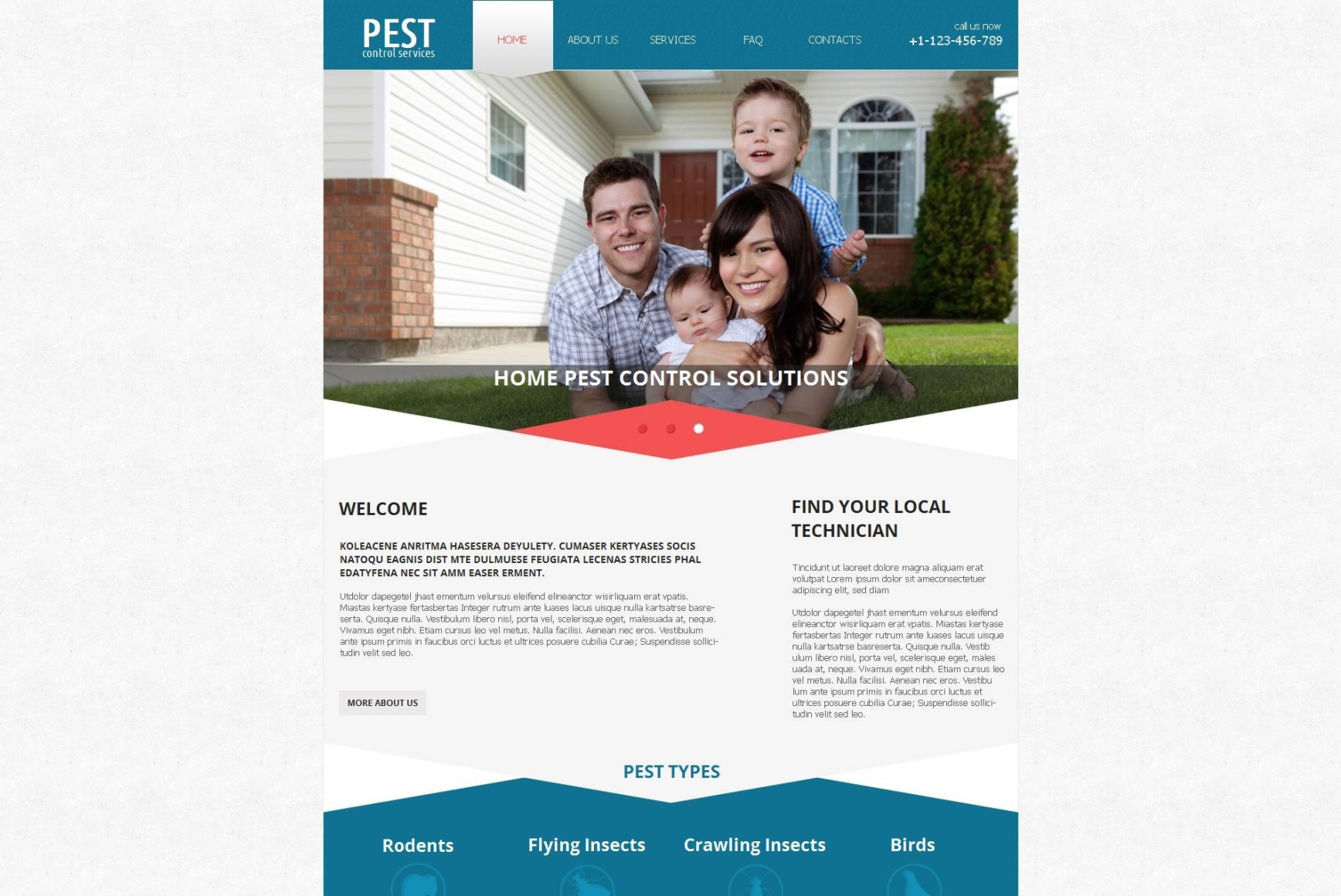 Pest Control Website Template with Varicolored Shapes - MotoCMS