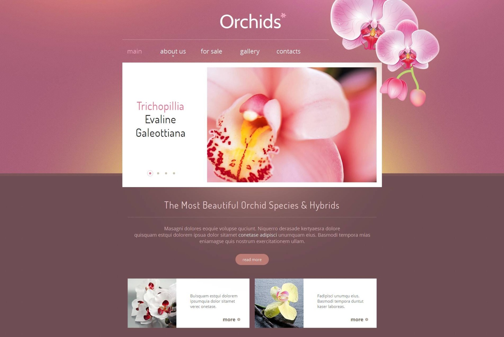 Flower Web Template for Orchid Species Website - MotoCMS