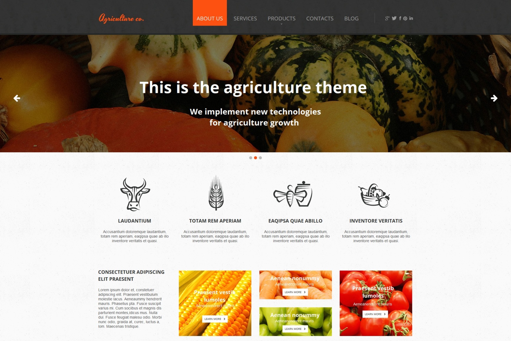 Agriculture Website Template with a Big Content Section in Footer - MotoCMS