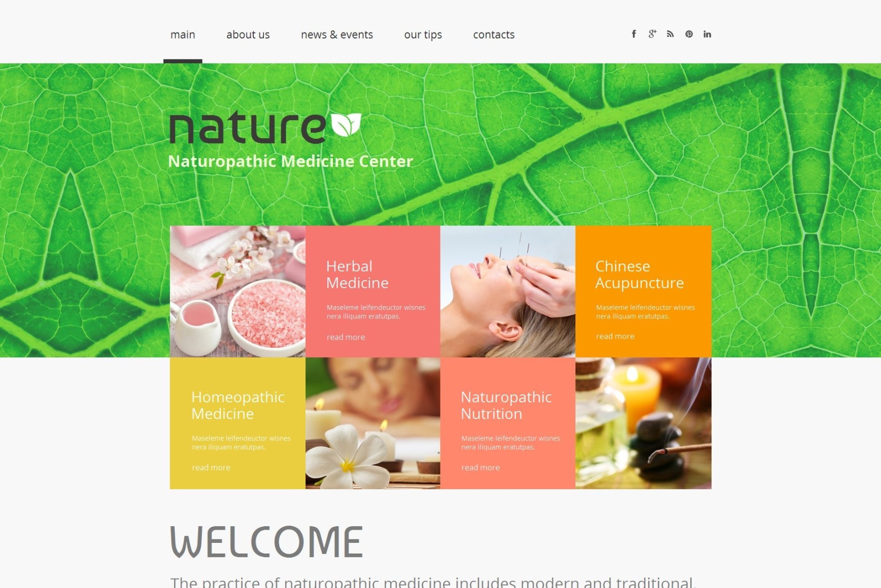 Naturopathic Medicine Website Template - MotoCMS