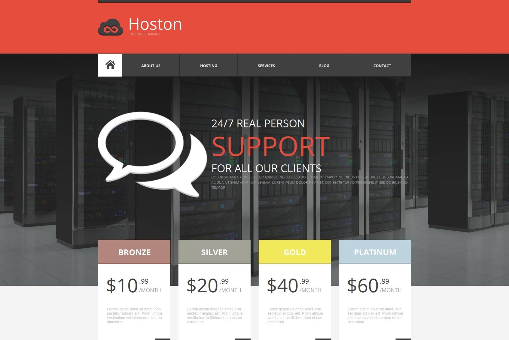 Server Hosting Website Template for Web Hosting Providers - MotoCMS