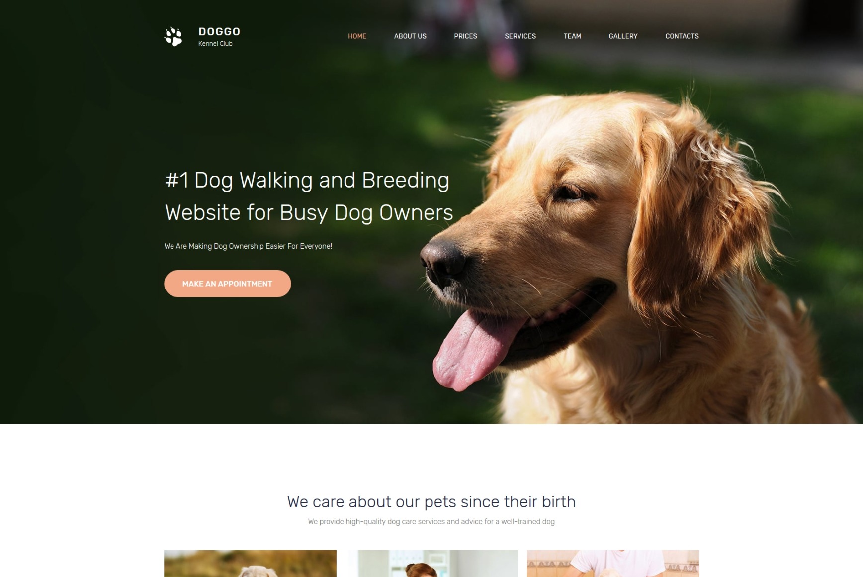 Dog Walking Website Template for Kennel Club - MotoCMS