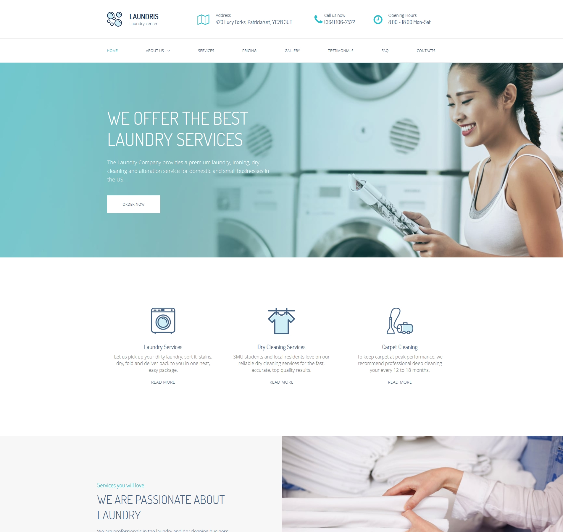 Laundry Website Design - Laundris | TemplateMonster