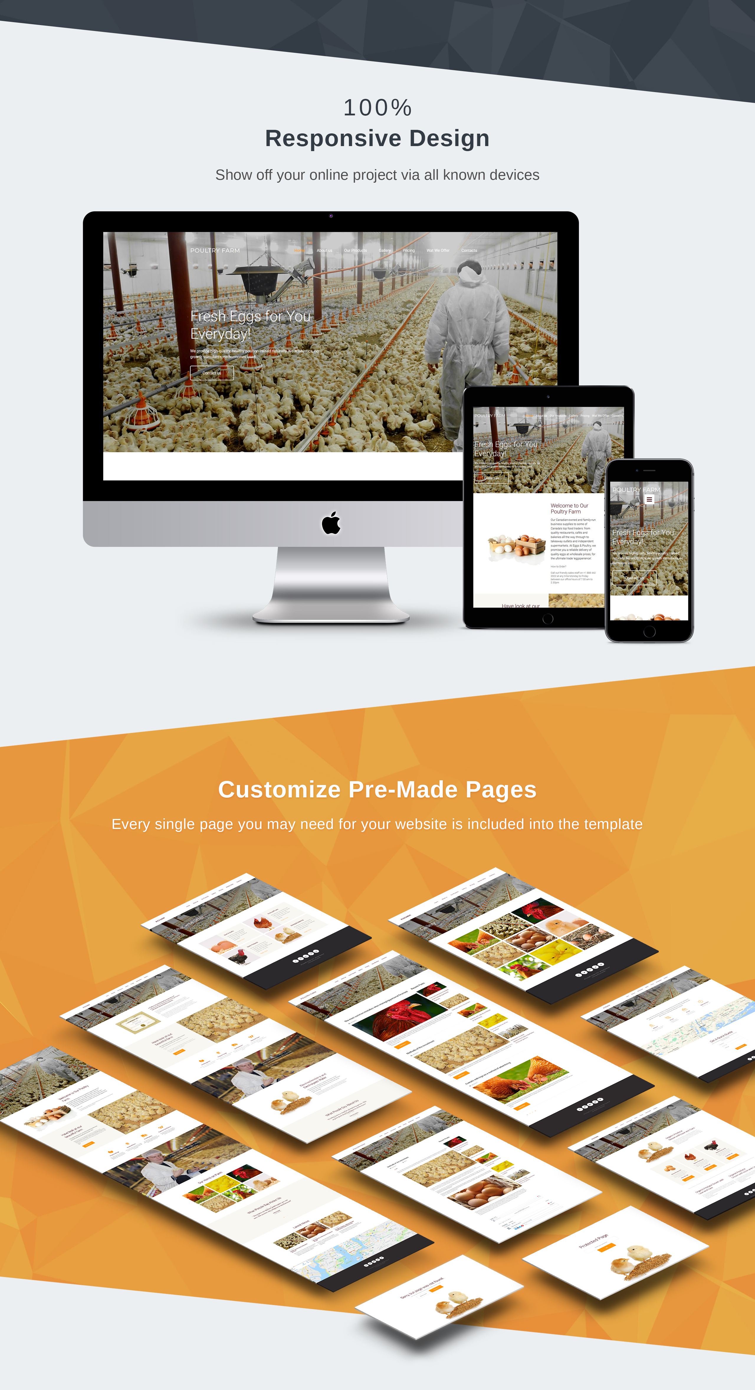 Poultry Farm Website Template - MotoCMS