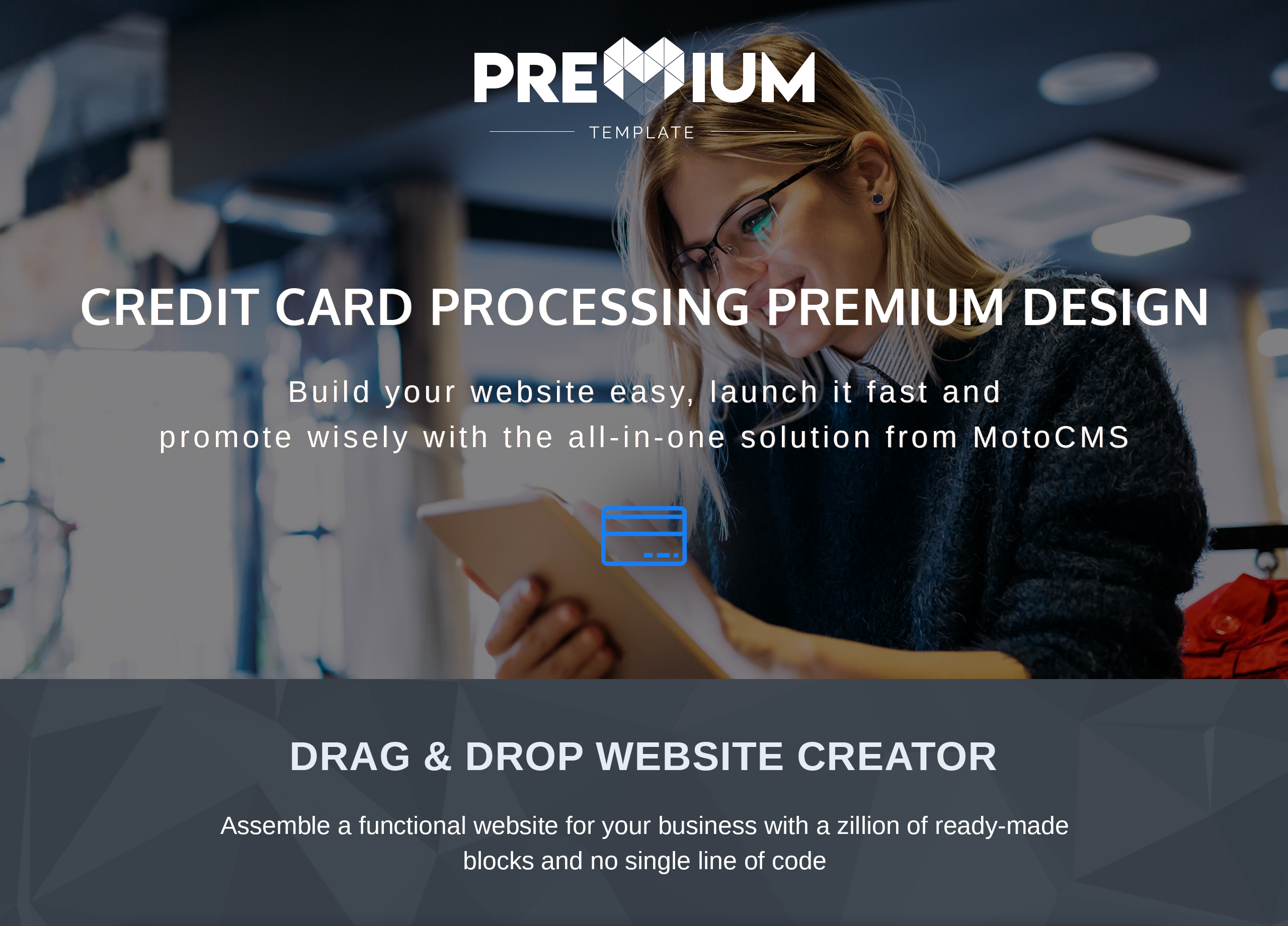 Credit Card Processing Website Template for Companies - MotoCMS