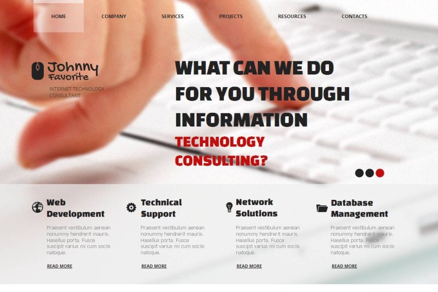 Internet Consulting Website Template - MotoCMS