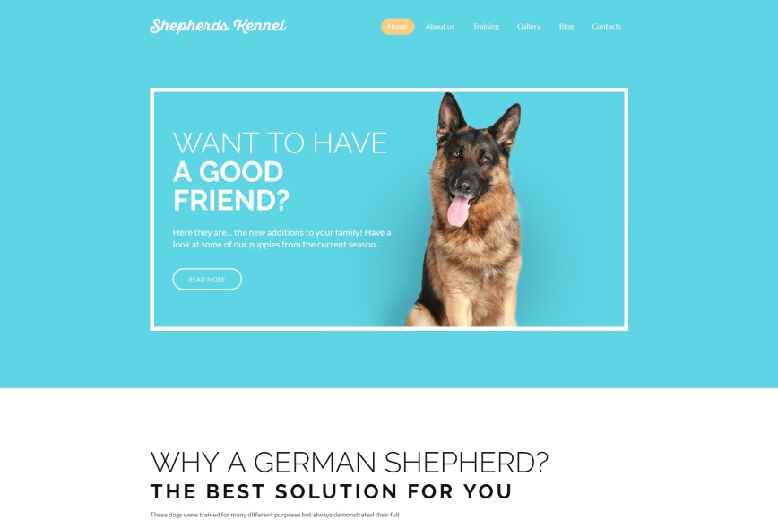 Dog Website Template For Dog Training School MotoCMS
