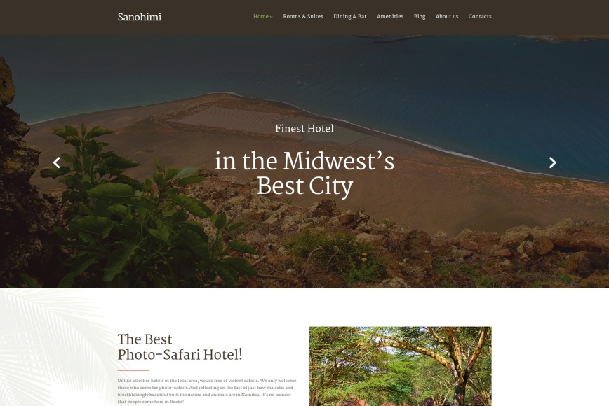 Safari Website Template for Hotels, Tours, and Resorts - MotoCMS