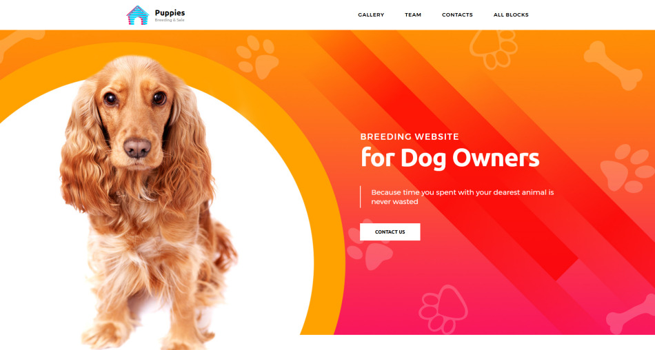 Pet Store Website Design for Online Petshop - MotoCMS