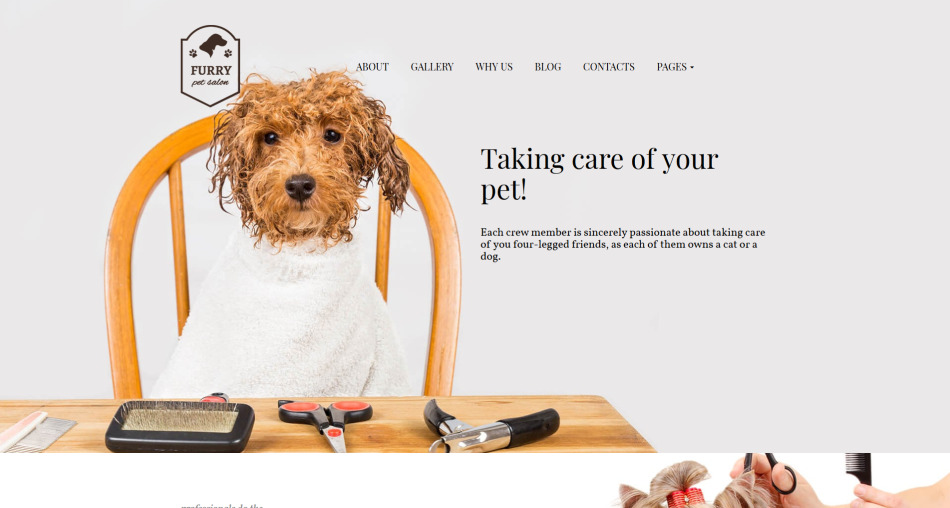 Pet Store Website Design for Online Petshop - MotoCMS